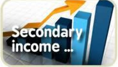 You Can Develop a Second Income!